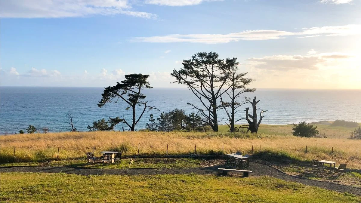 WEST 26 — Improv Utopia