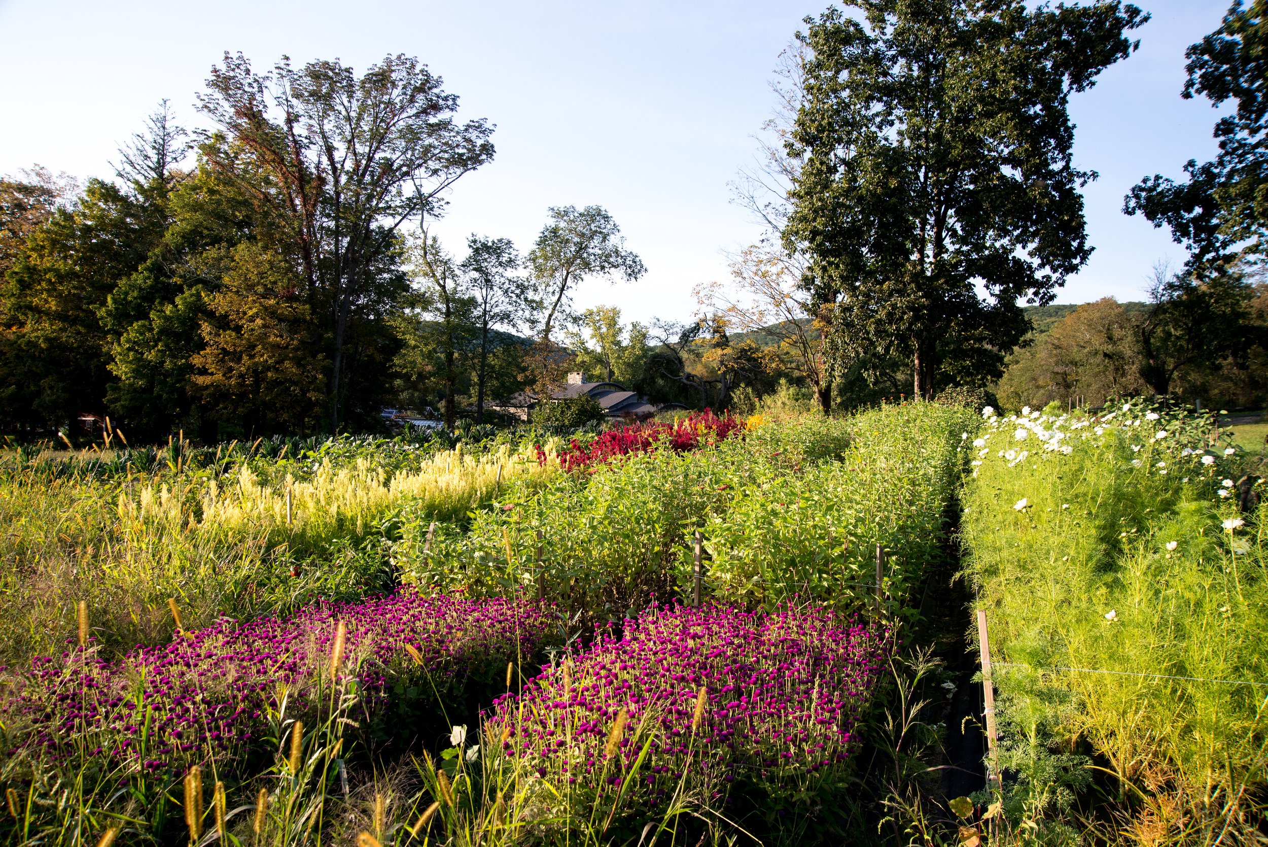 About Us — Anderson Acres Farm