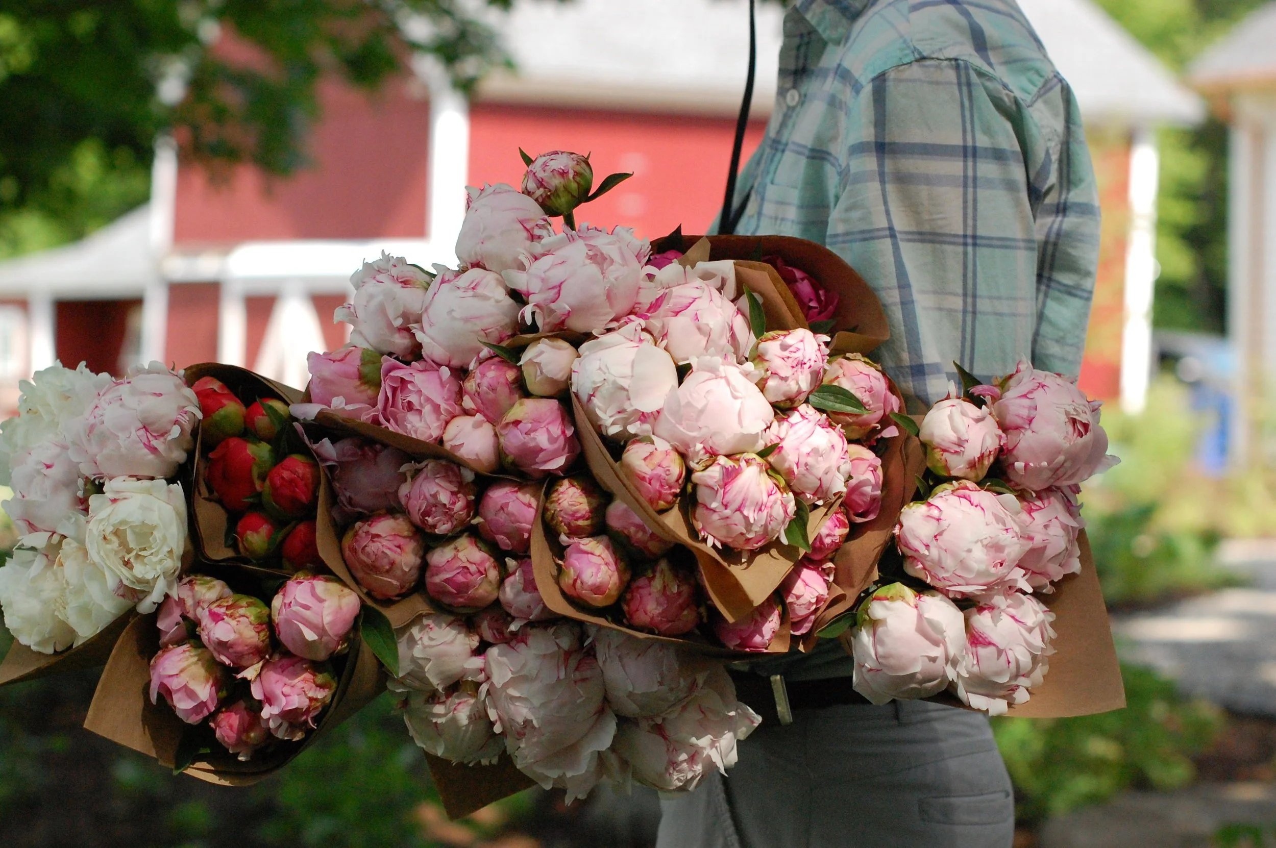Shop — Anderson Acres Farm