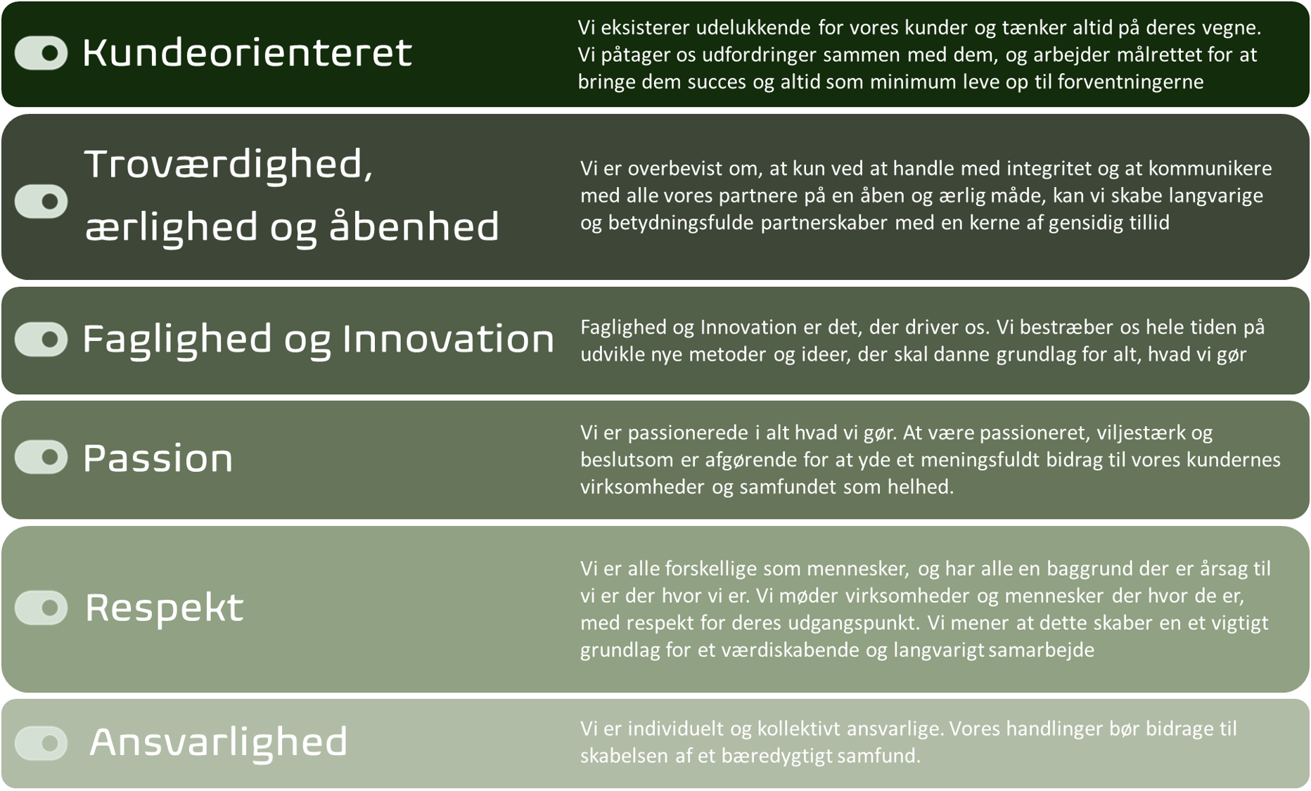 Vores værdier — dataon - Power your data