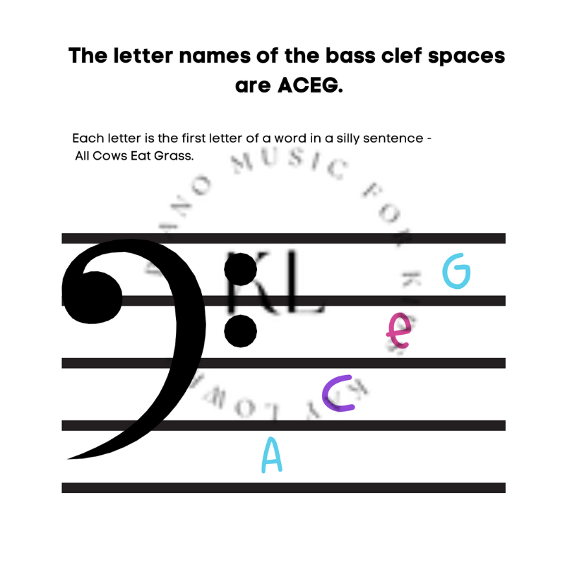 Musical, Magical Queen- A Fairy Tale for Young Musicians (Studio ...