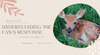 Understanding the Fawn Response and 4 ways to heal it — EMMY MARIE | TRAUMA-INFORMED COACH