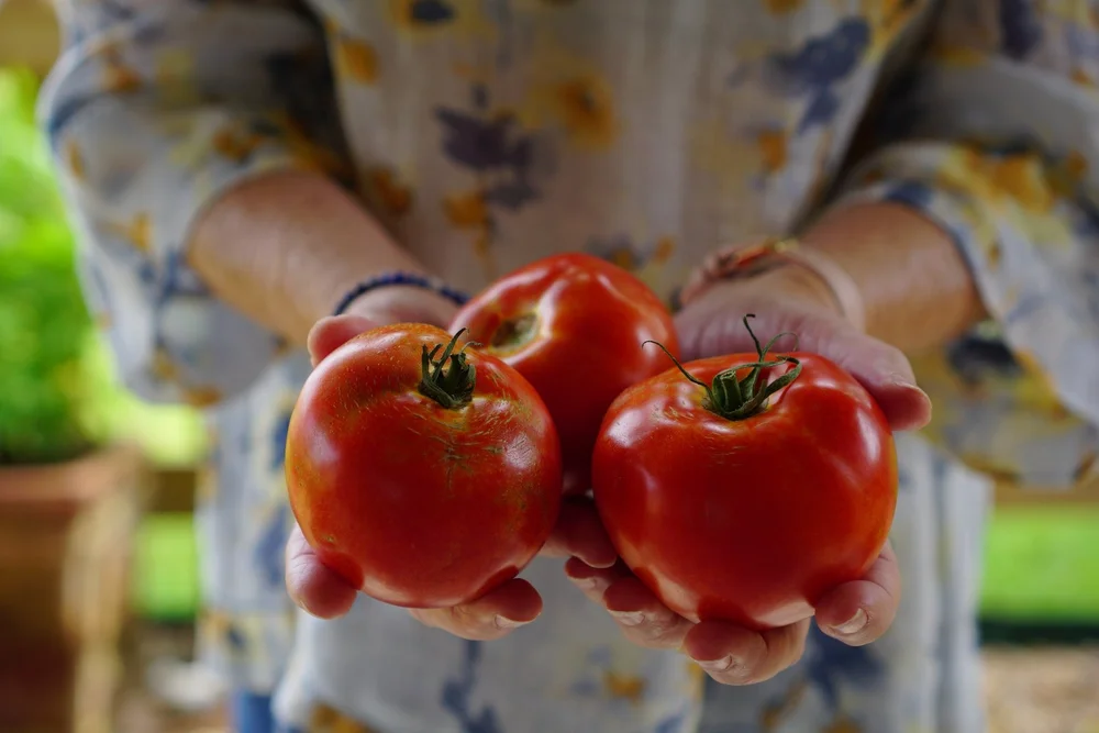 Beaumont Farmers Market