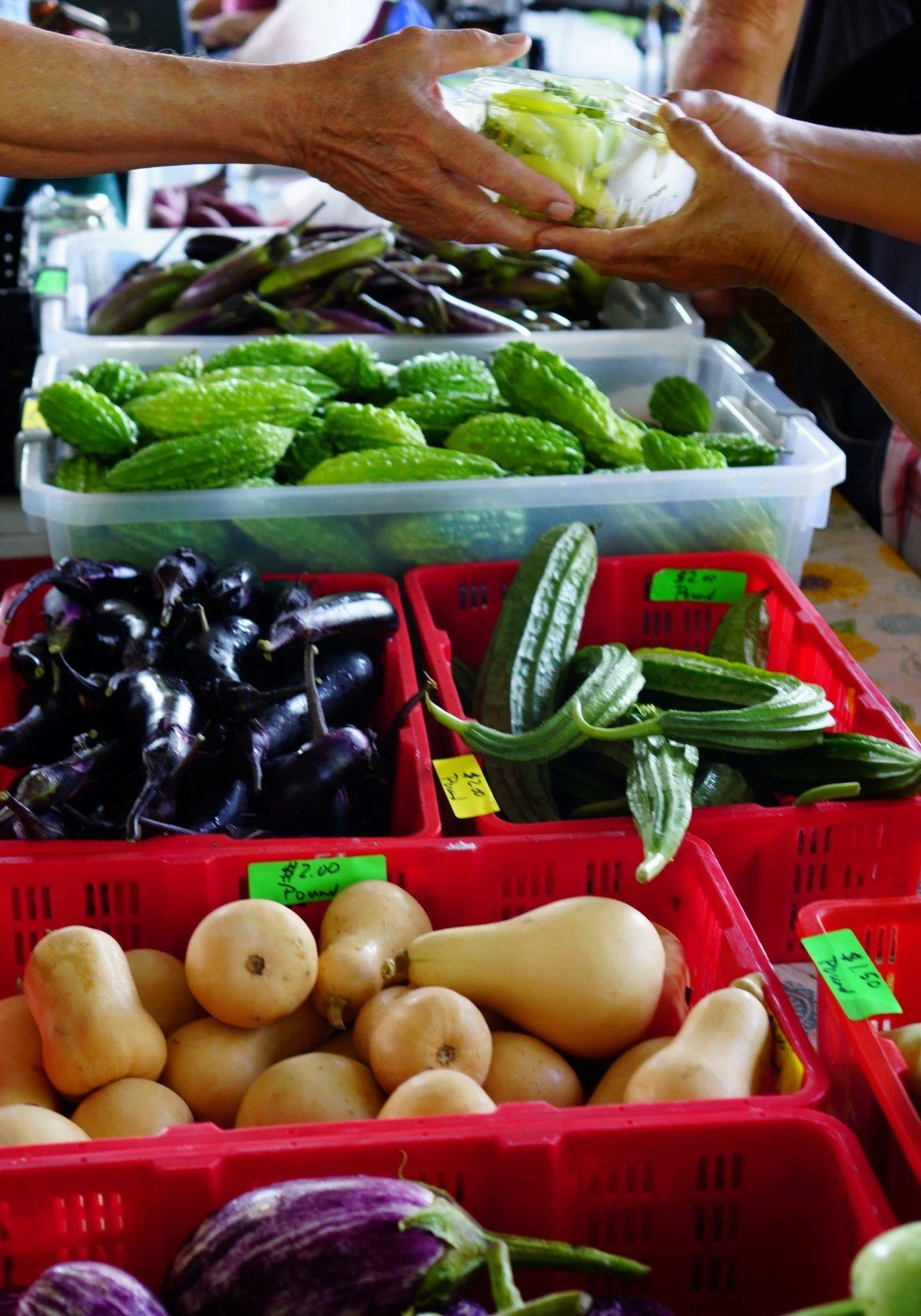 Services 4 — Beaumont Farmers Market