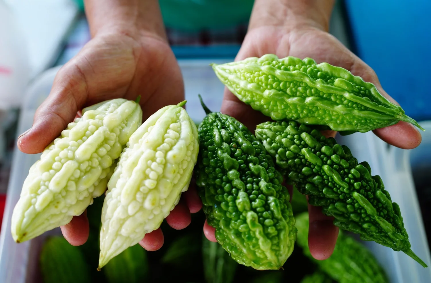 Our Vendors — Beaumont Farmers Market