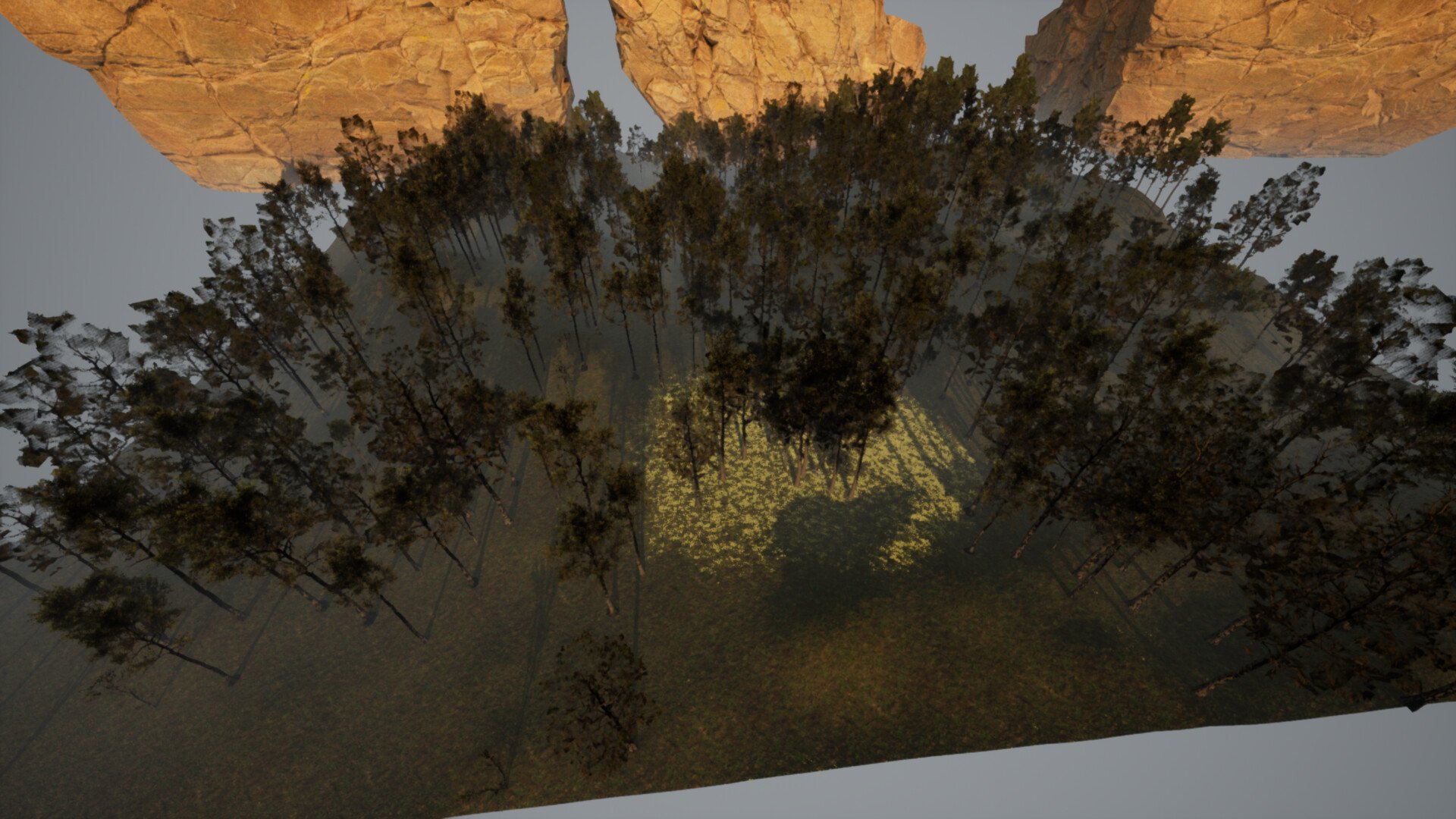 Quixel Trees — Joe Raasch