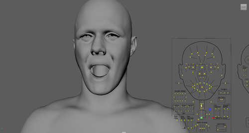 Metahuman Wrinkle Maps — Joe Raasch