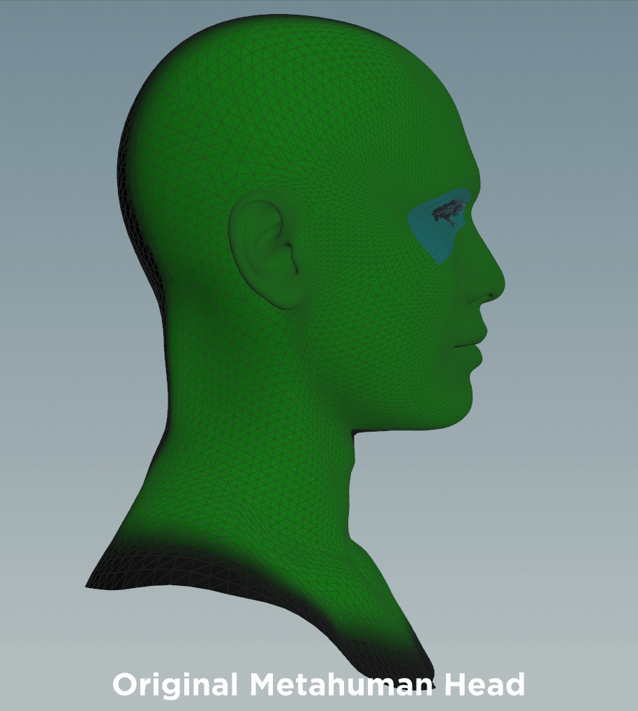 Metahuman Experiments — Joe Raasch