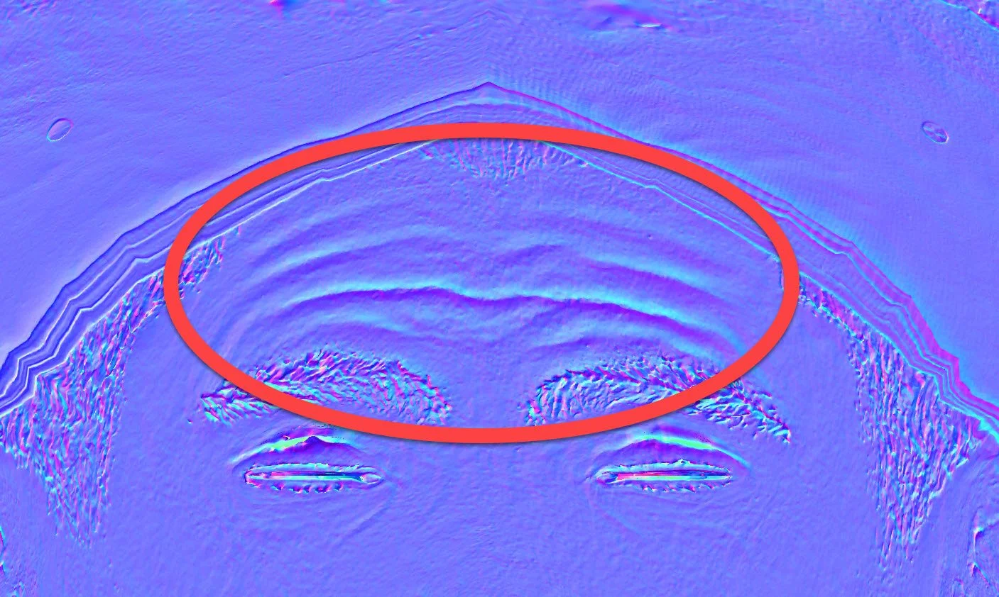 Custom Metahuman 2024 — Joe Raasch