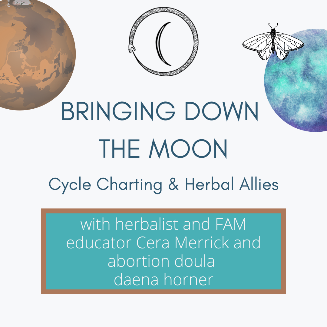 Services 2 — Holistic Abortions