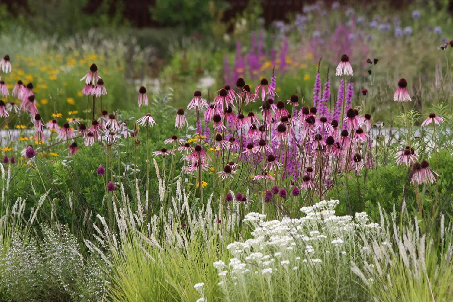 BOEKEL TUIN & LANDSCHAP