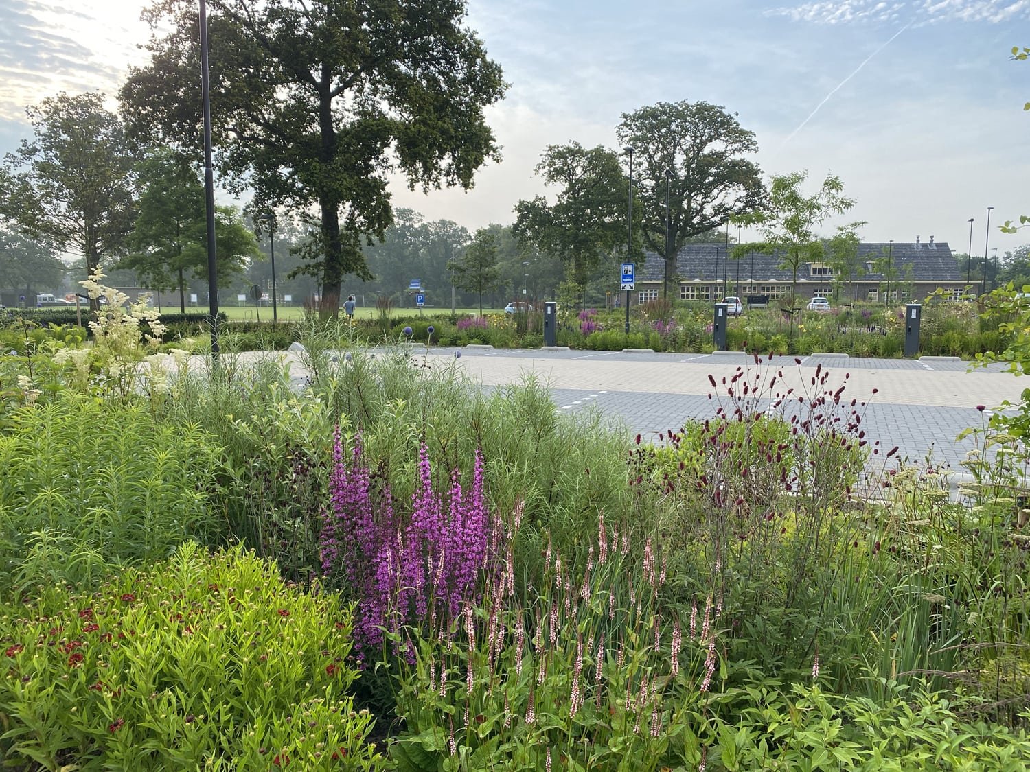 Openbare ruimte — BOEKEL TUIN & LANDSCHAP