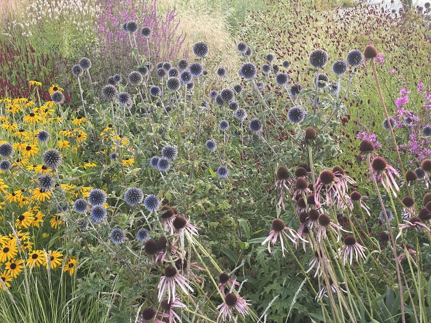 Openbare ruimte — BOEKEL TUIN & LANDSCHAP