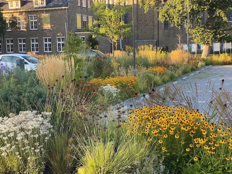 Openbare ruimte — BOEKEL TUIN & LANDSCHAP