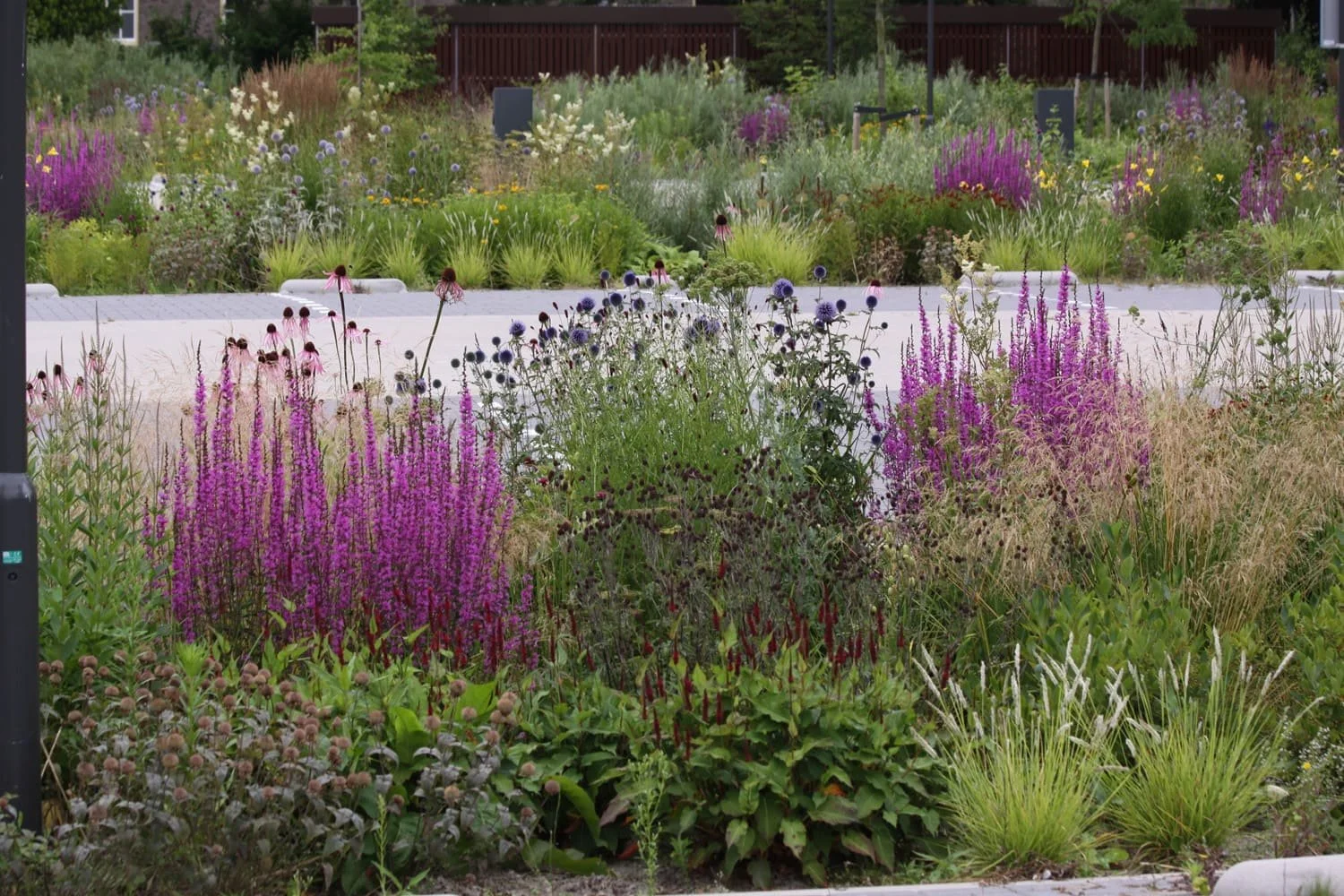 Openbare ruimte — BOEKEL TUIN & LANDSCHAP