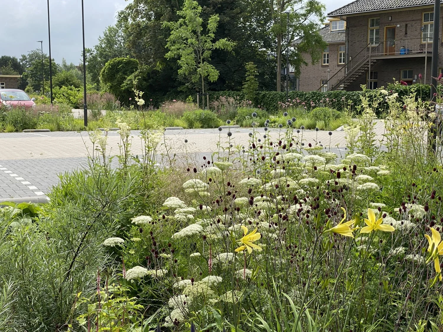Openbare ruimte — BOEKEL TUIN & LANDSCHAP