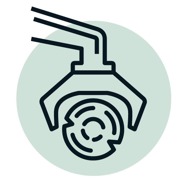 Tree Removal | Pruning | Arbor Systems | Madison WI