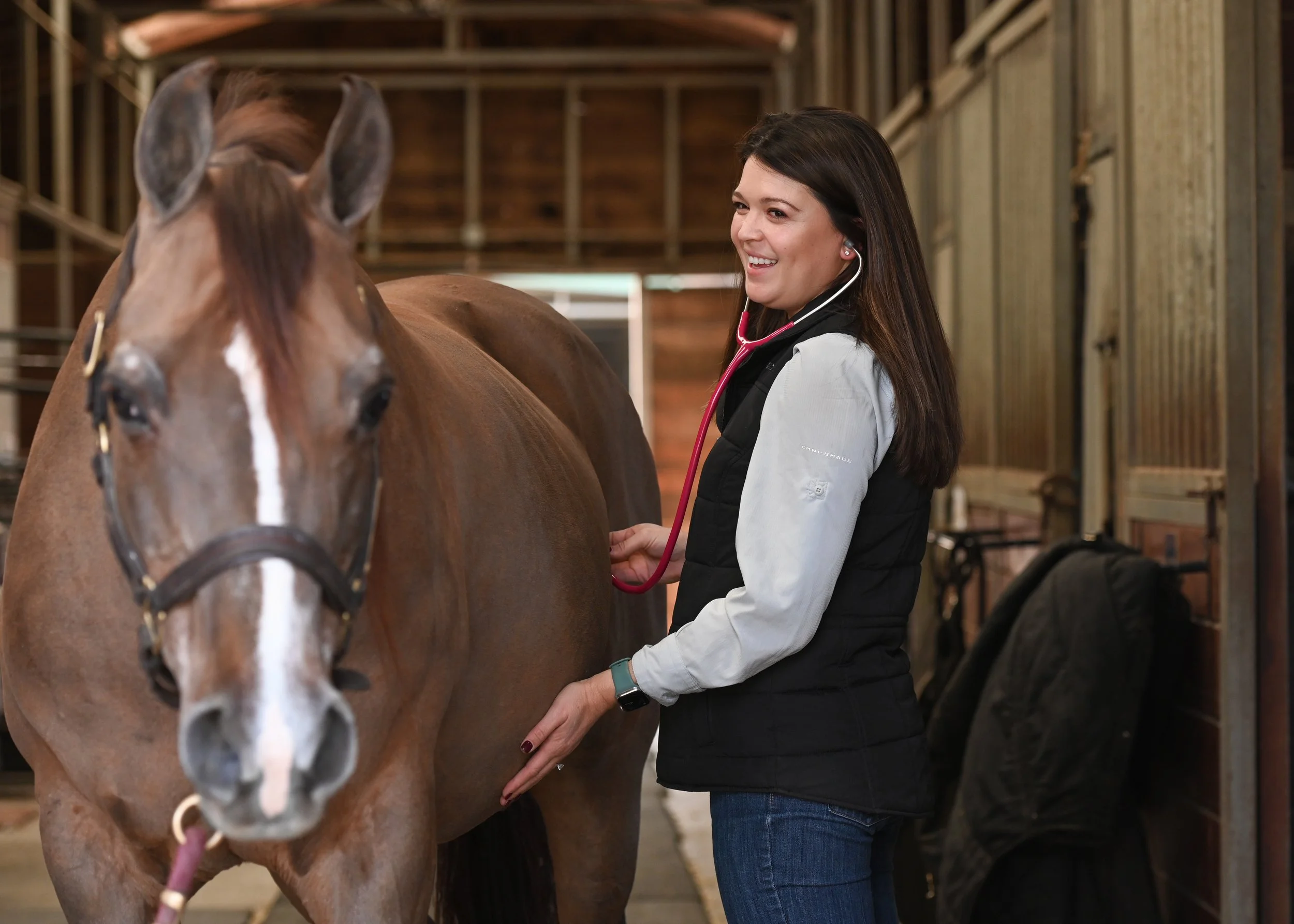 Premier Equine Veterinary Services