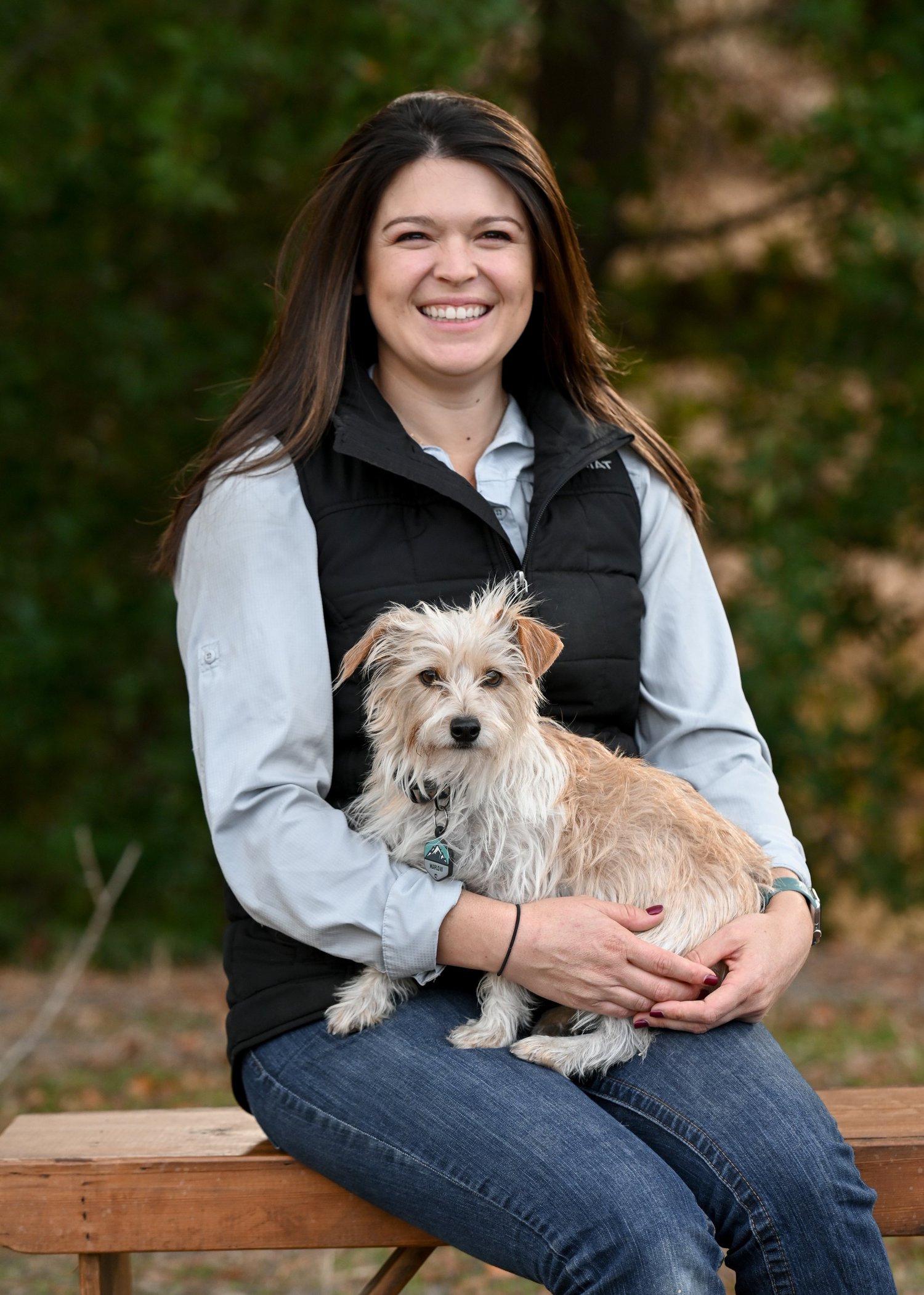 Premier Equine Veterinary Services