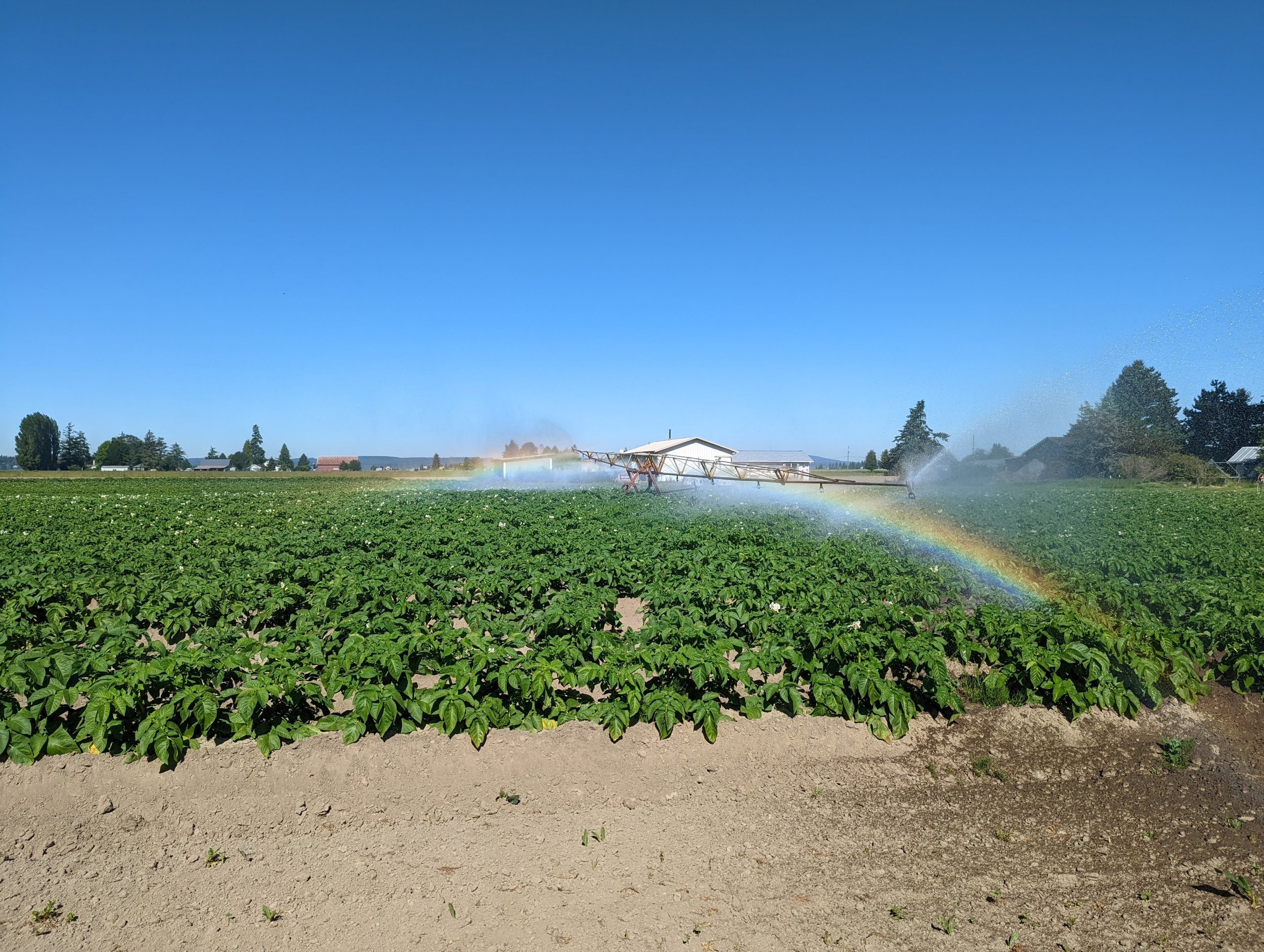 Contact — First Cut Farm