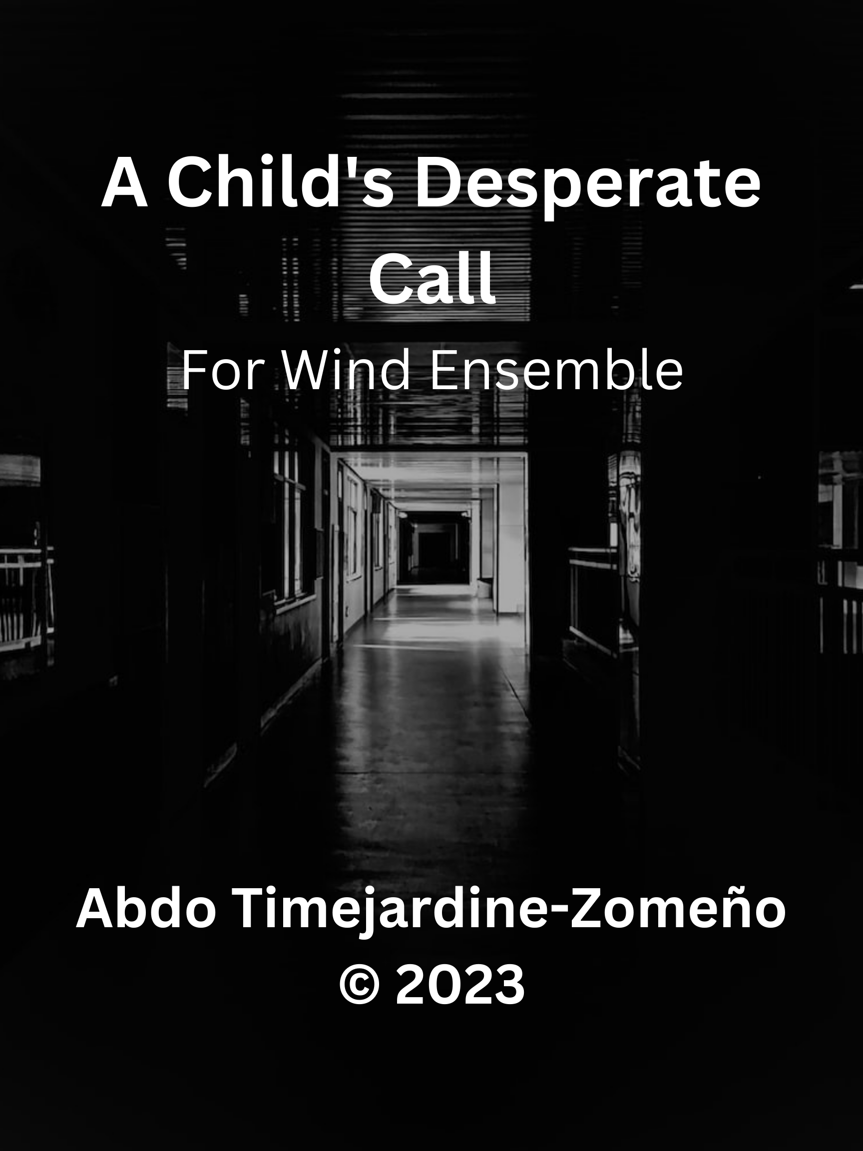 A Child's Desperate Call — Abdo Timejardine-Zomeño