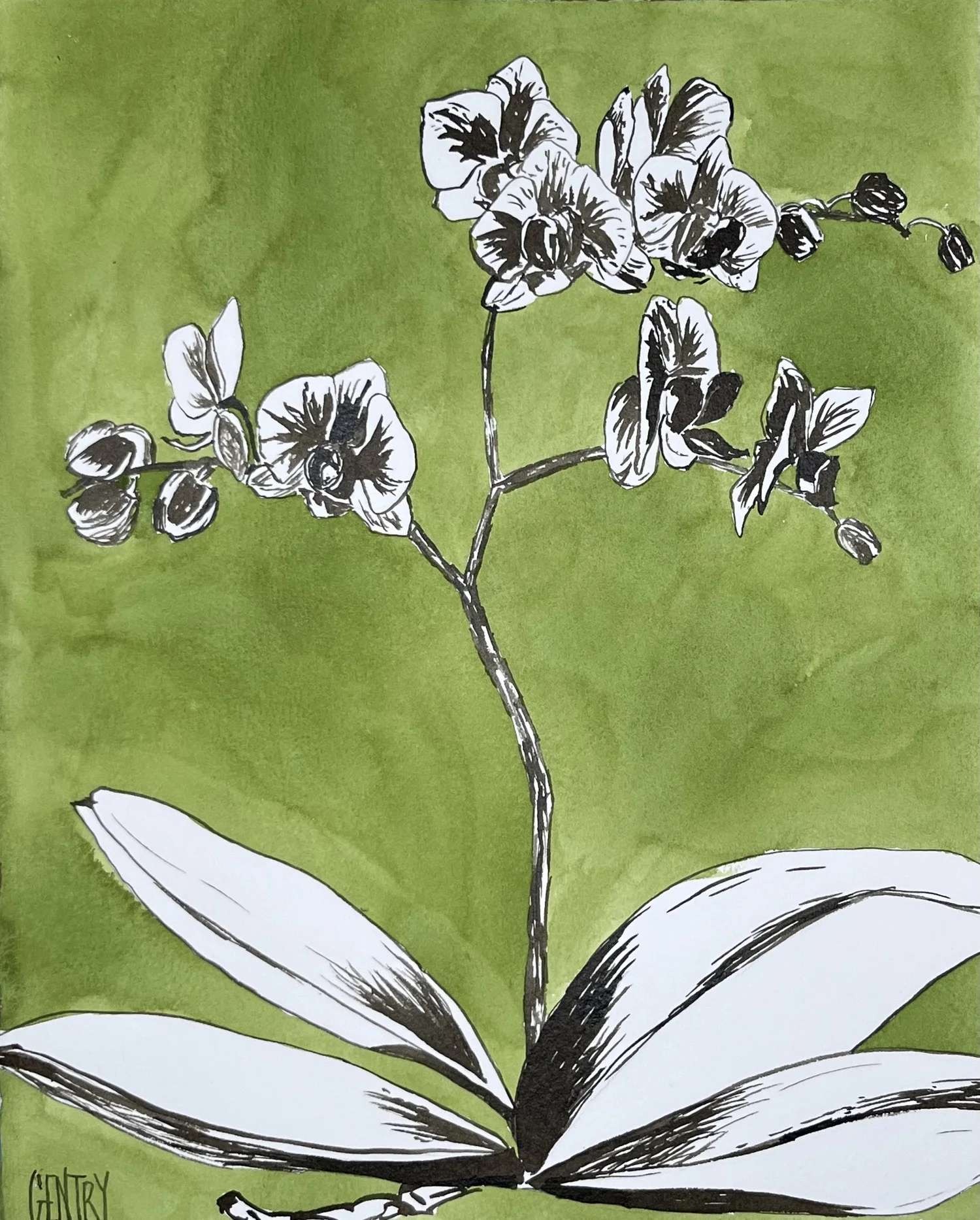 Sarah Gentry Art
