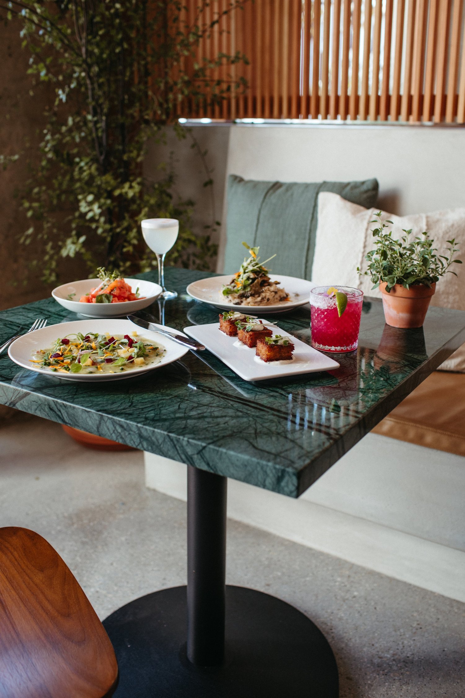 Gallery | Discover Gourmet Dining – Reserve Your Table Today — GALA
