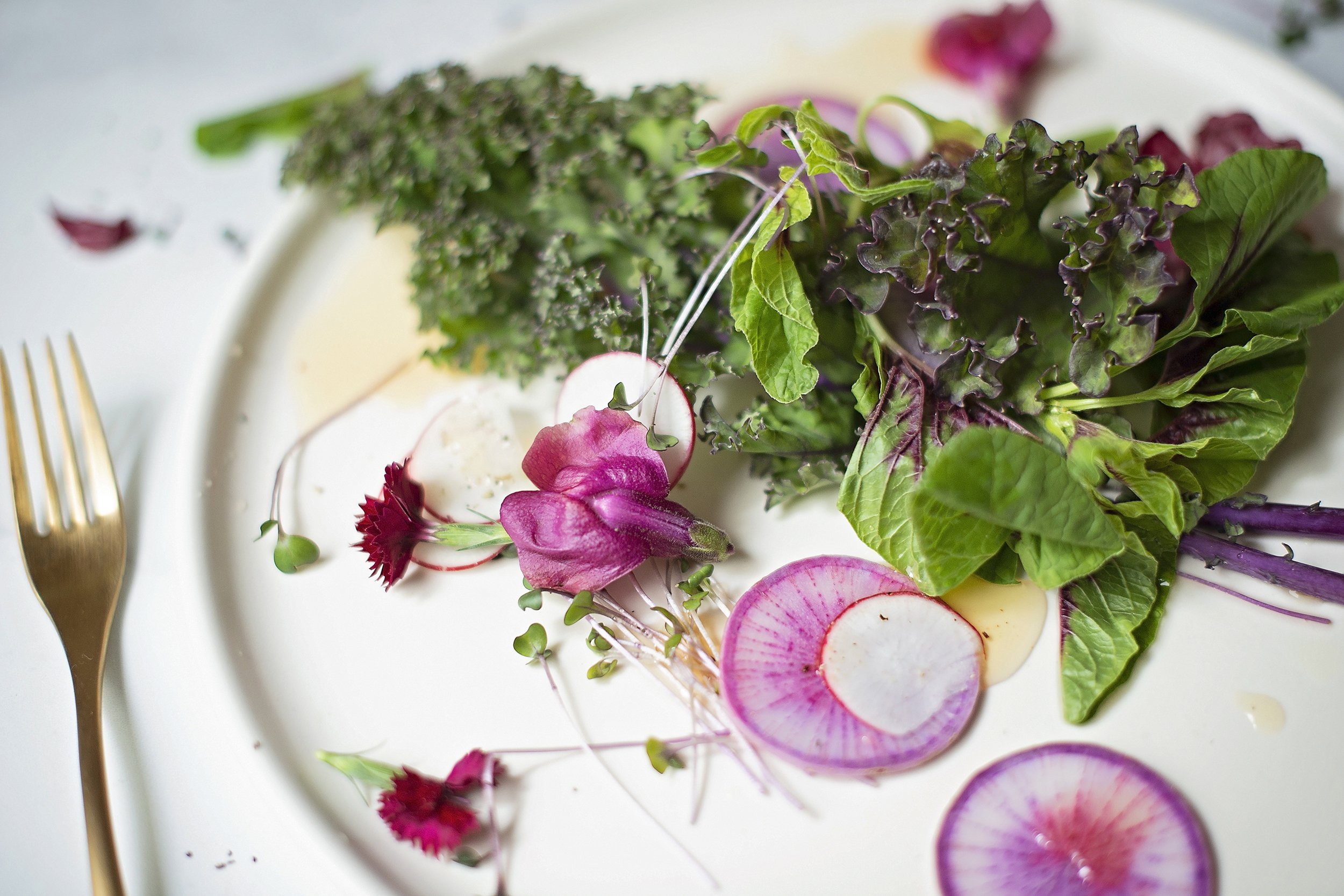 The most iconic Food Photographers in America — Stephanie Mullins ...