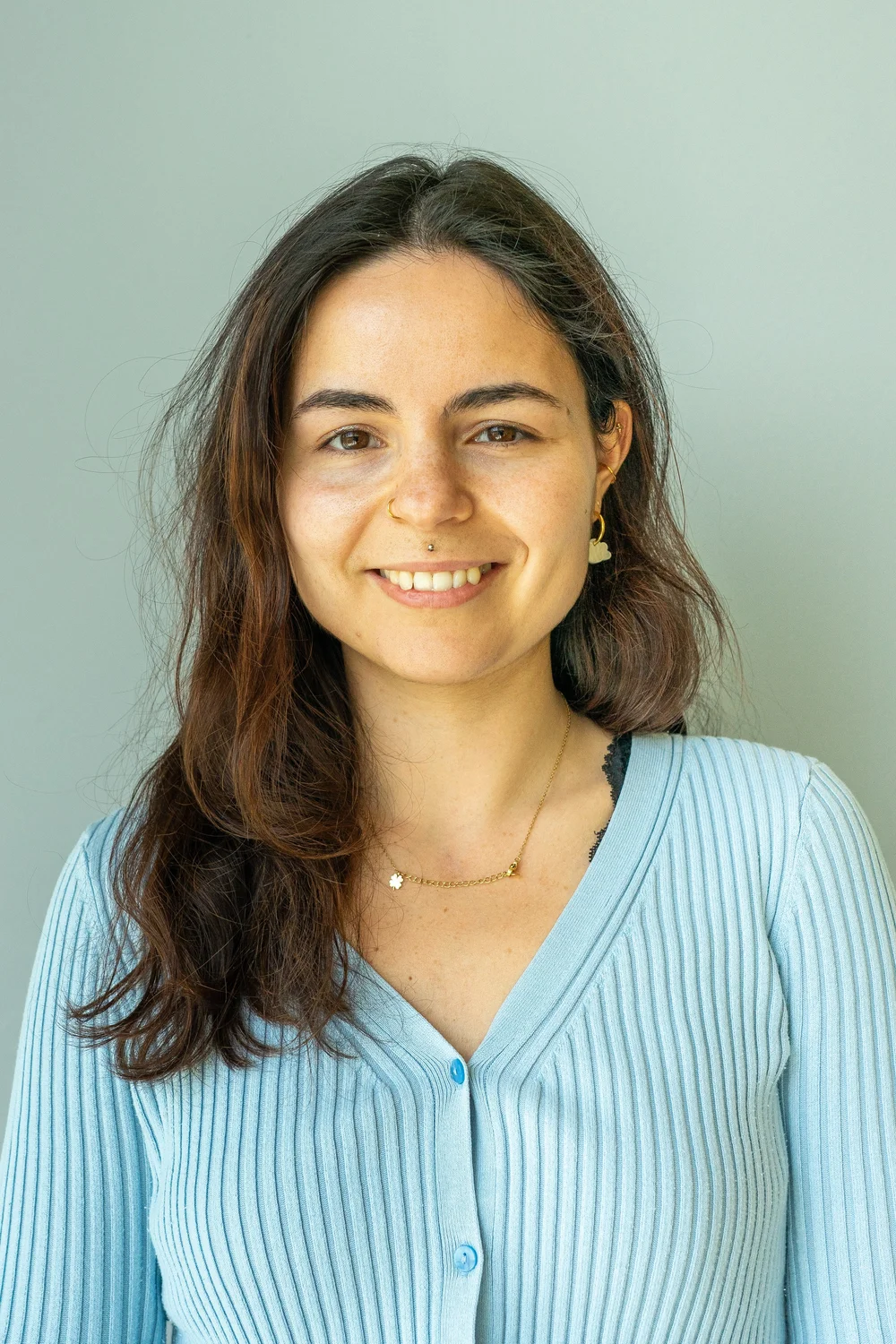 Team — Van Attikum lab