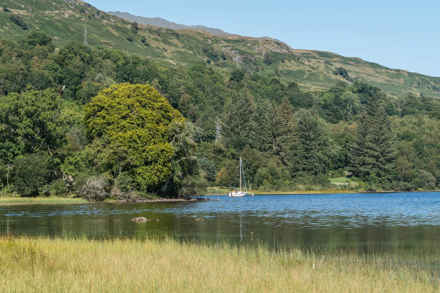Breadalbane — Friends of Loch Lomond & the Trossachs