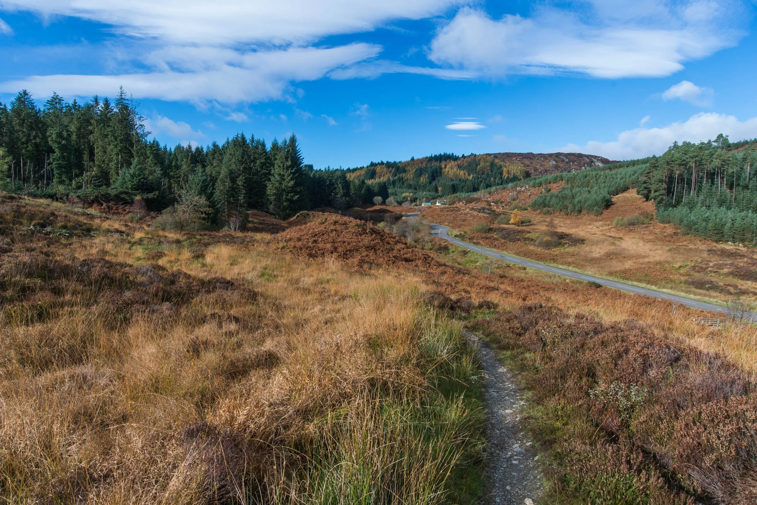 The Park — Friends of Loch Lomond & the Trossachs