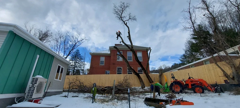 Tree Work — Open Woods Farm