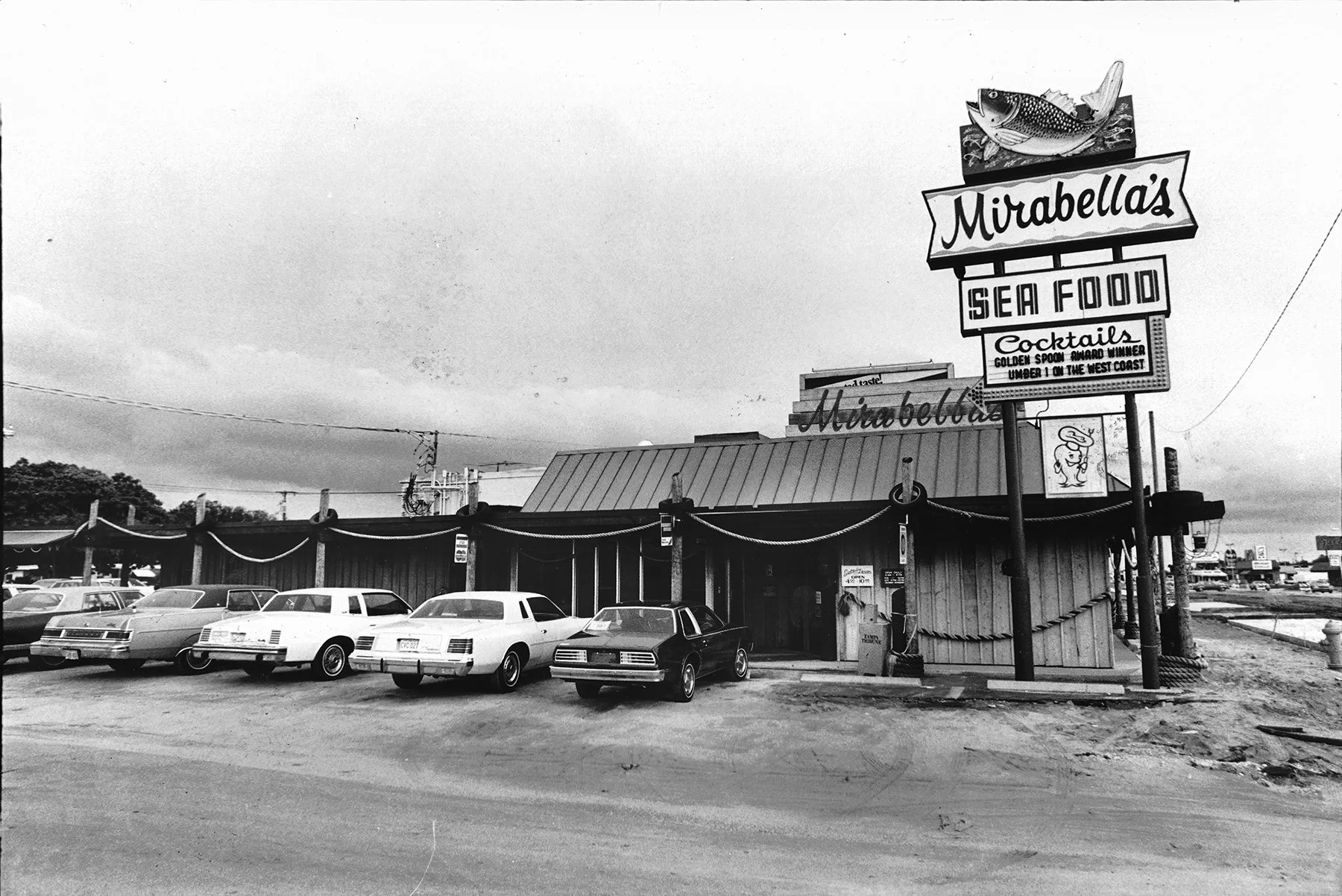 Dale Mabry Highway — Old Tampa Photos Home