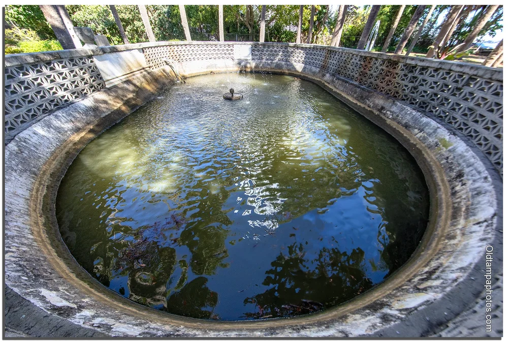 Palma Ceia Swimming Pool — Old Tampa Photos Home