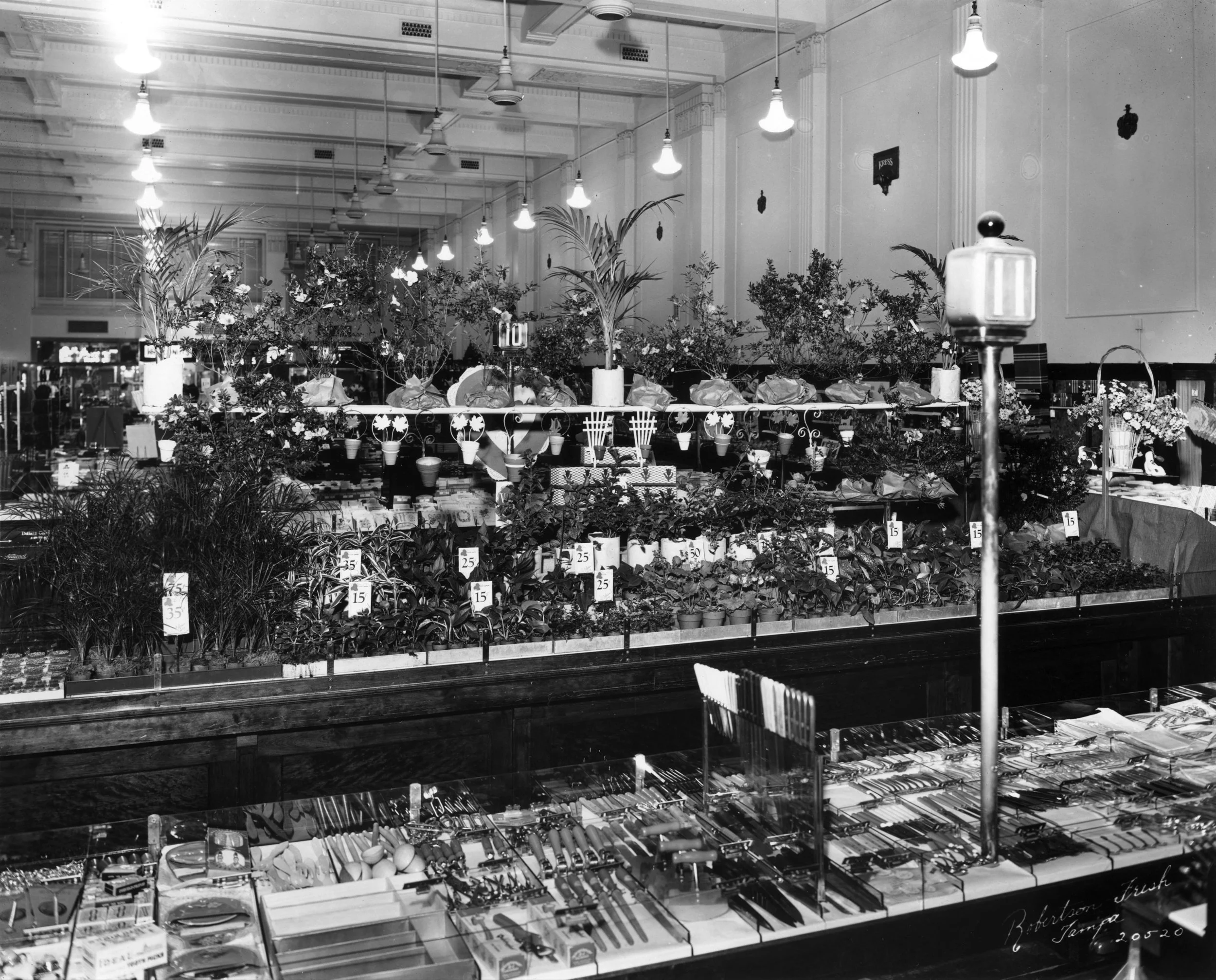 Kress Building Tampa — Old Tampa Photos Home