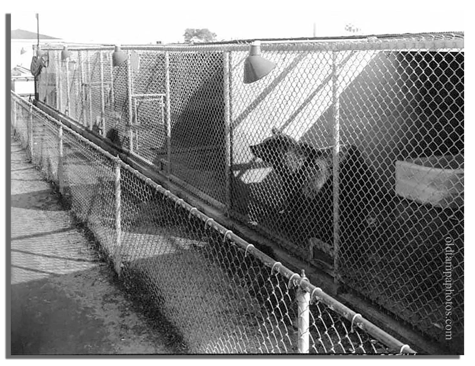 Super Test Amusement Park Tampa — Old Tampa Photos Home