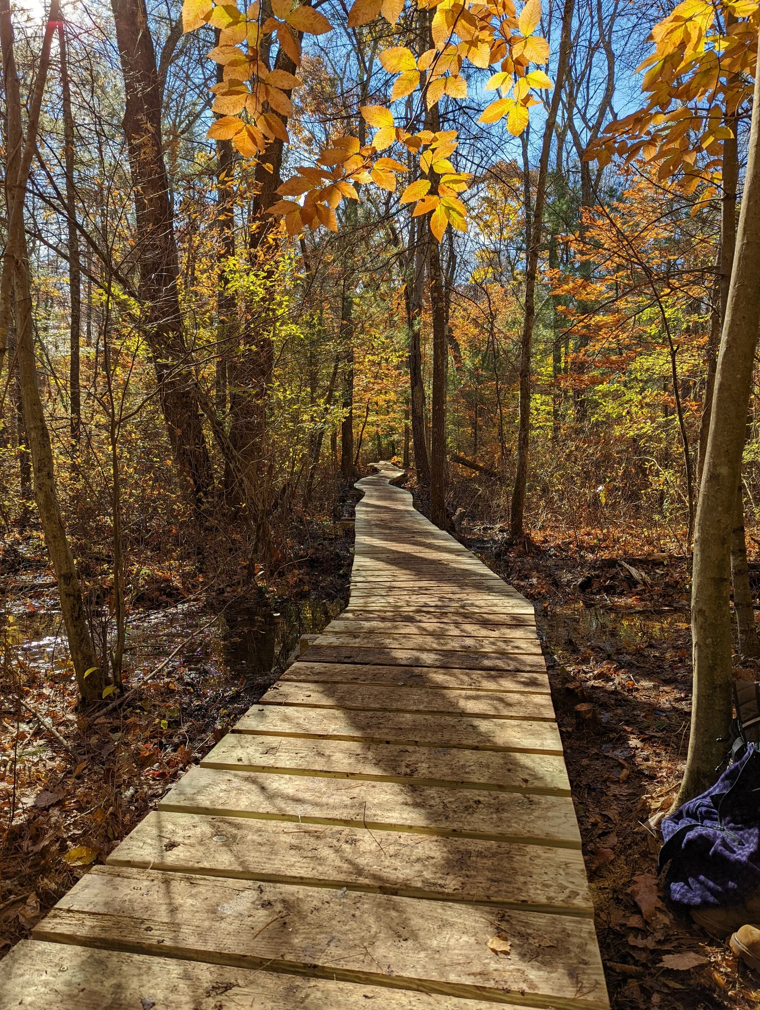 Chapters — New England Mountain Bike Association