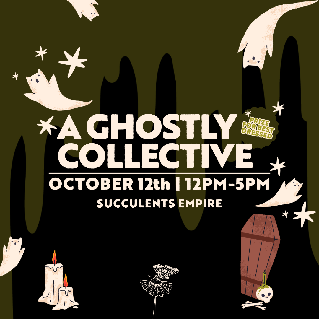 Orlando Pop Up Events — Collective Corner Florida