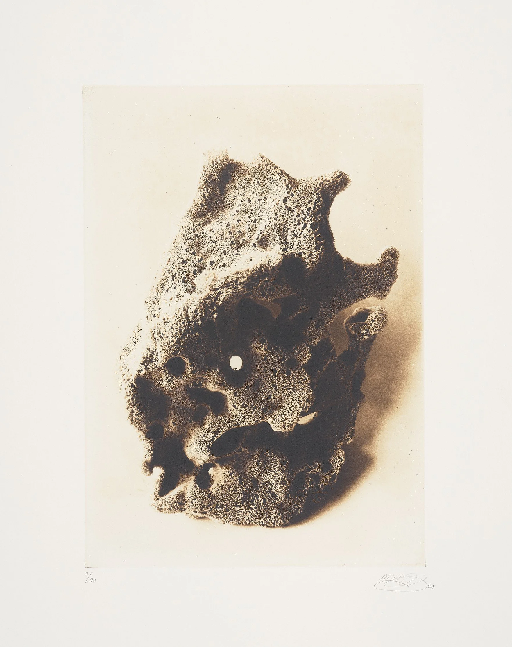 Marine Fragments: Cape Agulhas III by Amy-Leigh Bird — The Gallery at ...