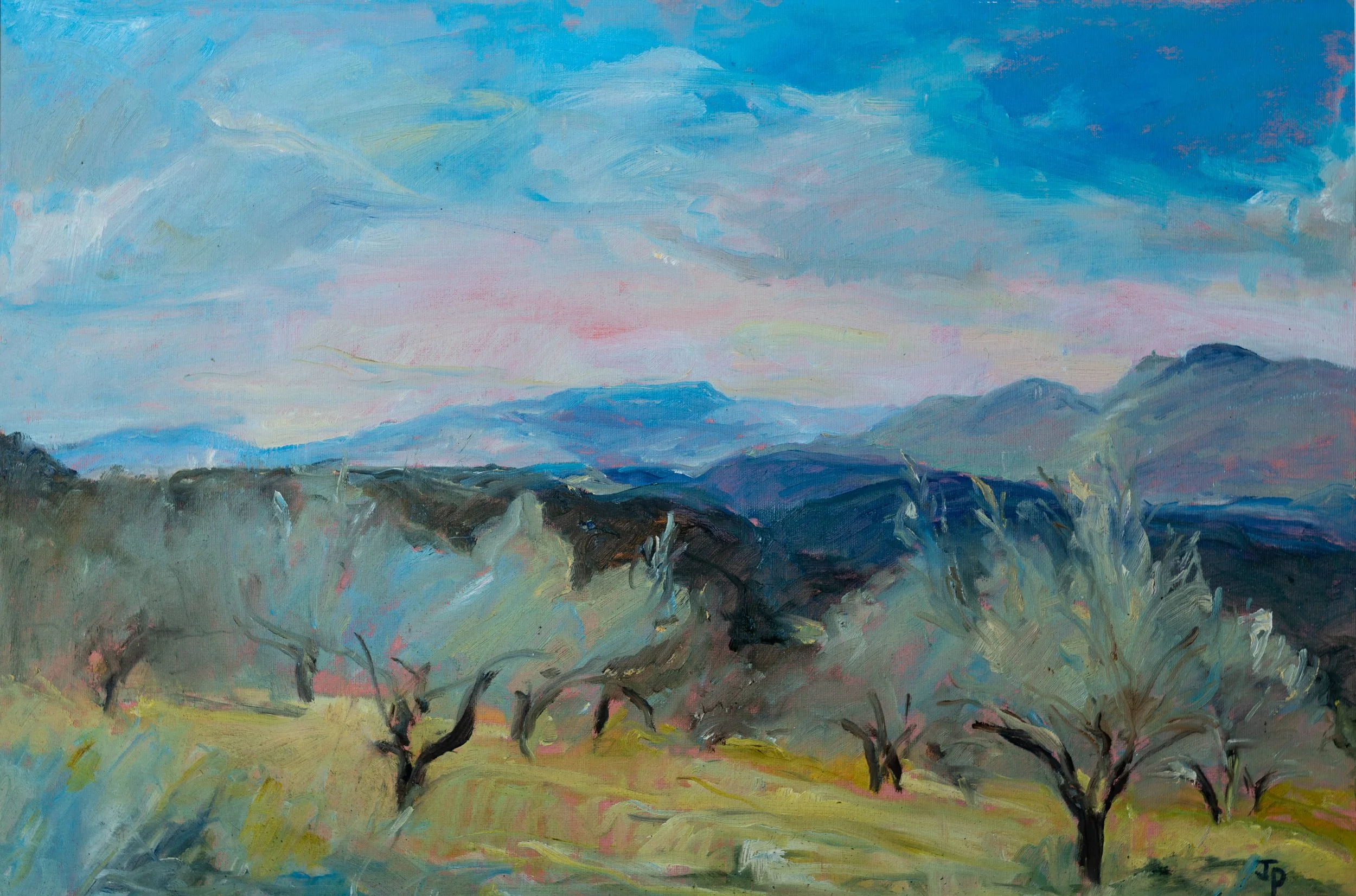 JANE PHILLIPS — The Gallery at Green & Stone