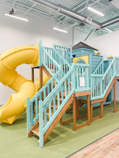 Where the Wild Things Play