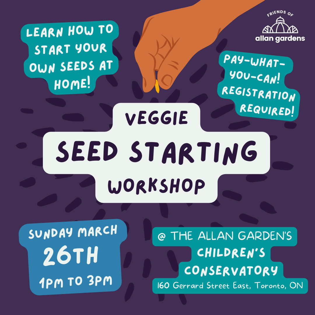 Veggie Seed Starting Workshop — Friends of Allan Gardens