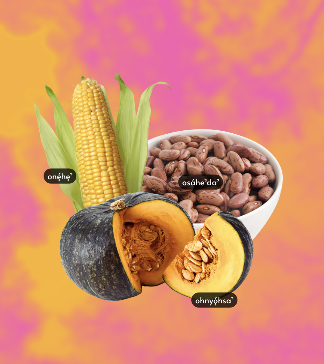 Corn, Beans, and Squash — Friends of Allan Gardens