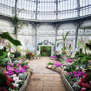 Toronto Gardens to Visit — Friends of Allan Gardens