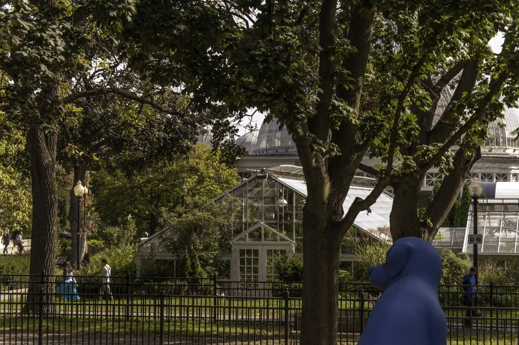 Visit — Friends of Allan Gardens