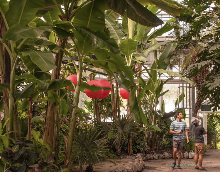 Allan Garden's History — Friends of Allan Gardens