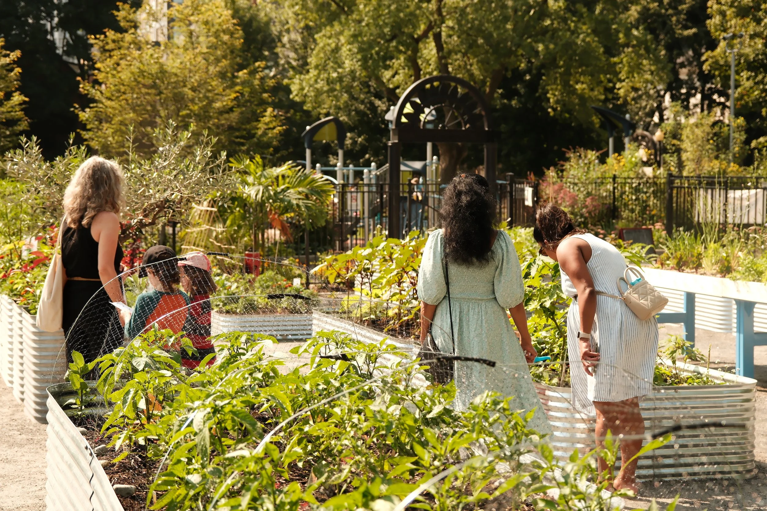 The Children's Conservatory & Teaching Garden — Friends of Allan Gardens