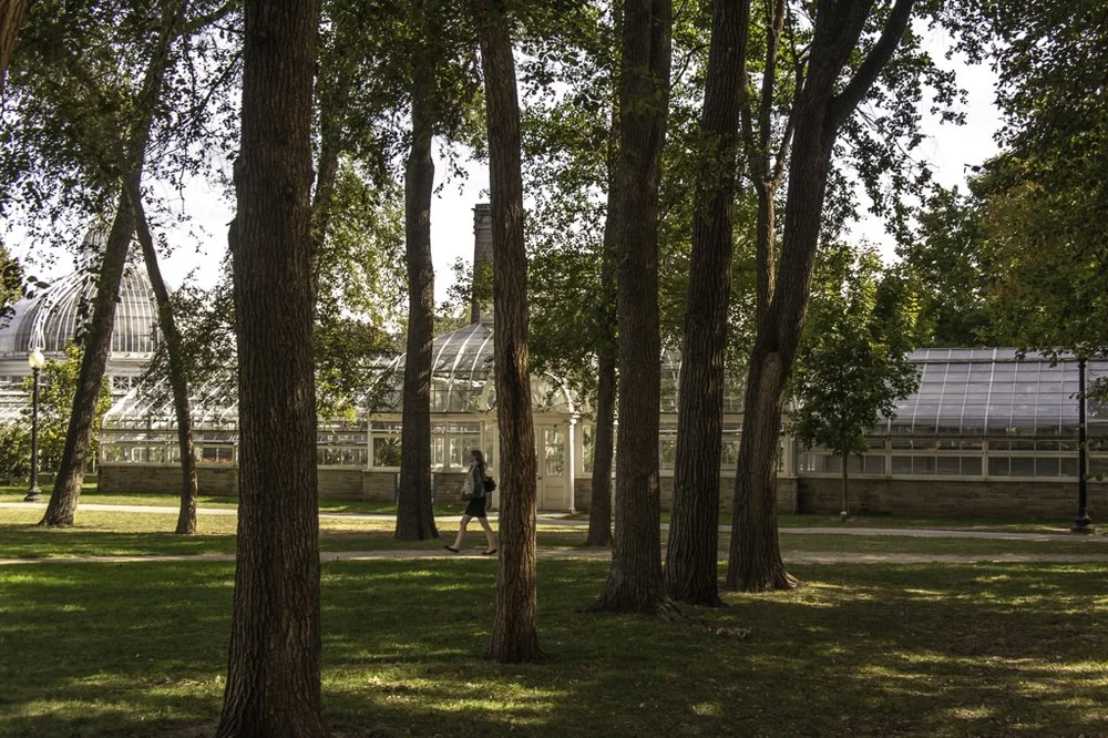 Allan Garden's History — Friends of Allan Gardens