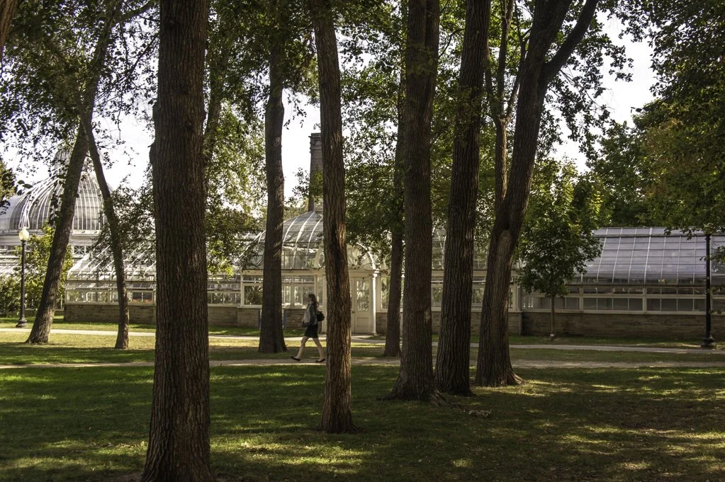 Allan Garden's History — Friends of Allan Gardens