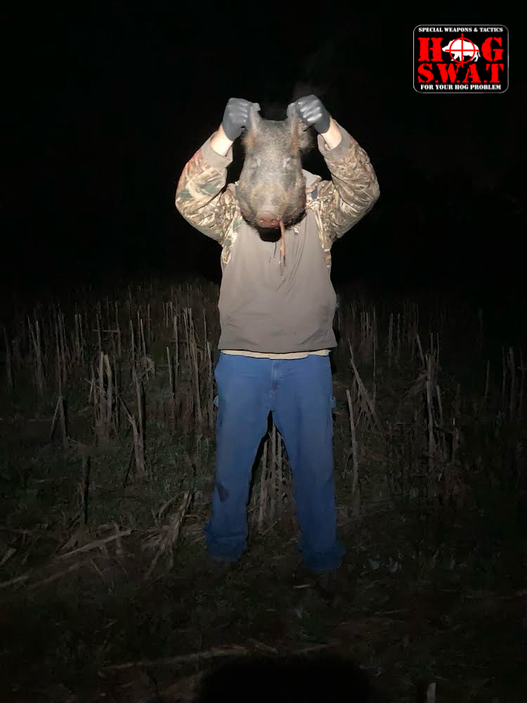 Best Hunting In Georgia — Hog S.W.A.T. Guided Night Hog Hunt ...